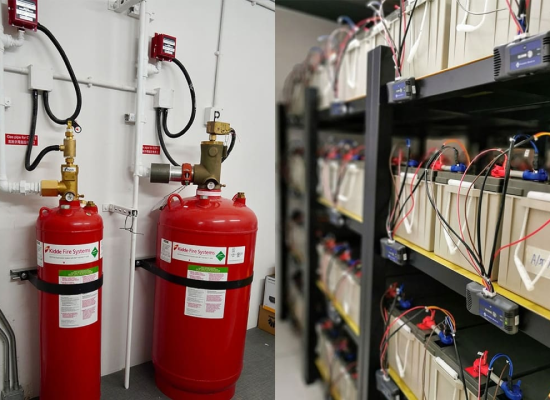 Services | STP Platform